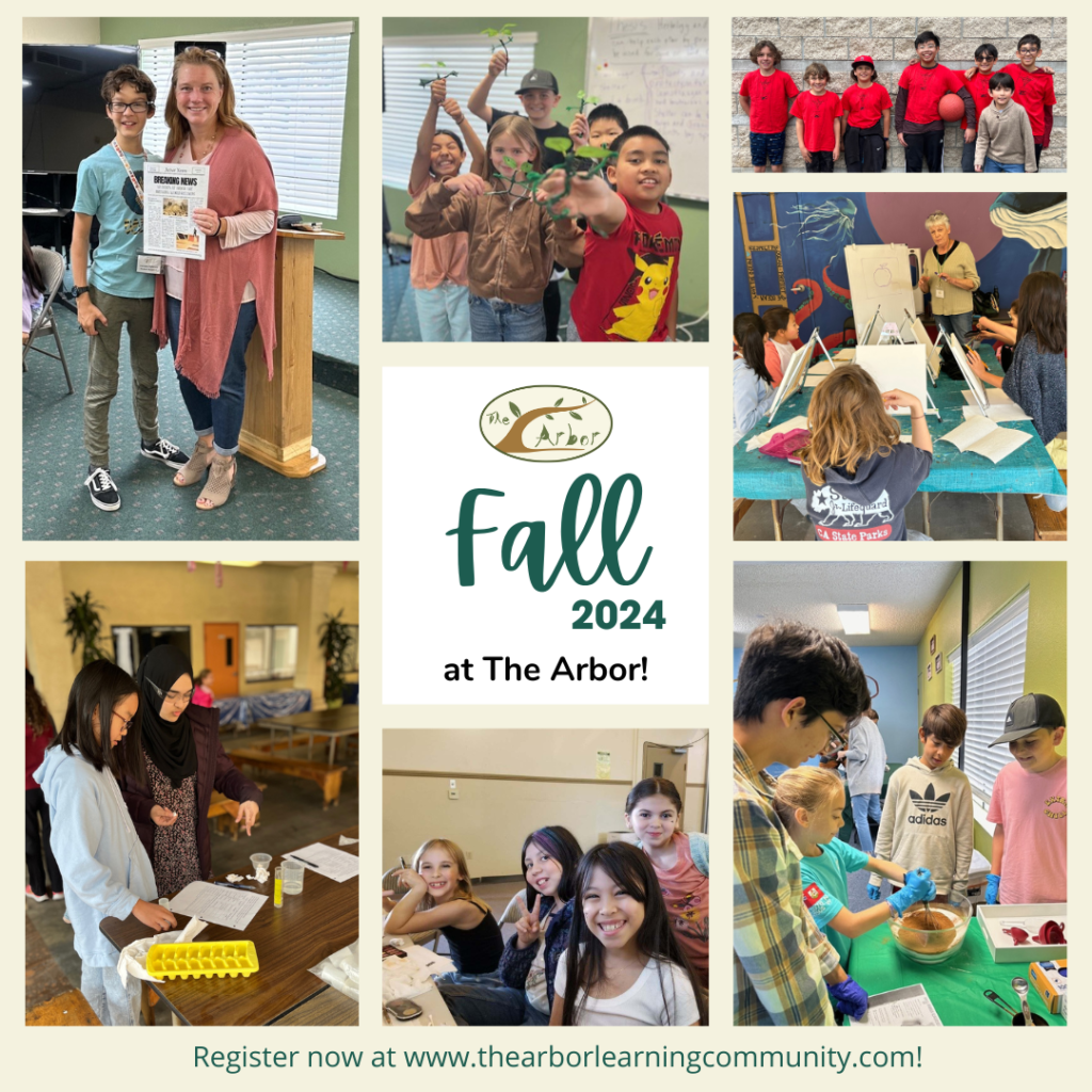 The Arbor Learning Community – A non-profit homeschool organization