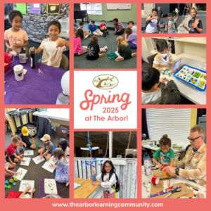 The Arbor Learning Community – A non-profit homeschool organization